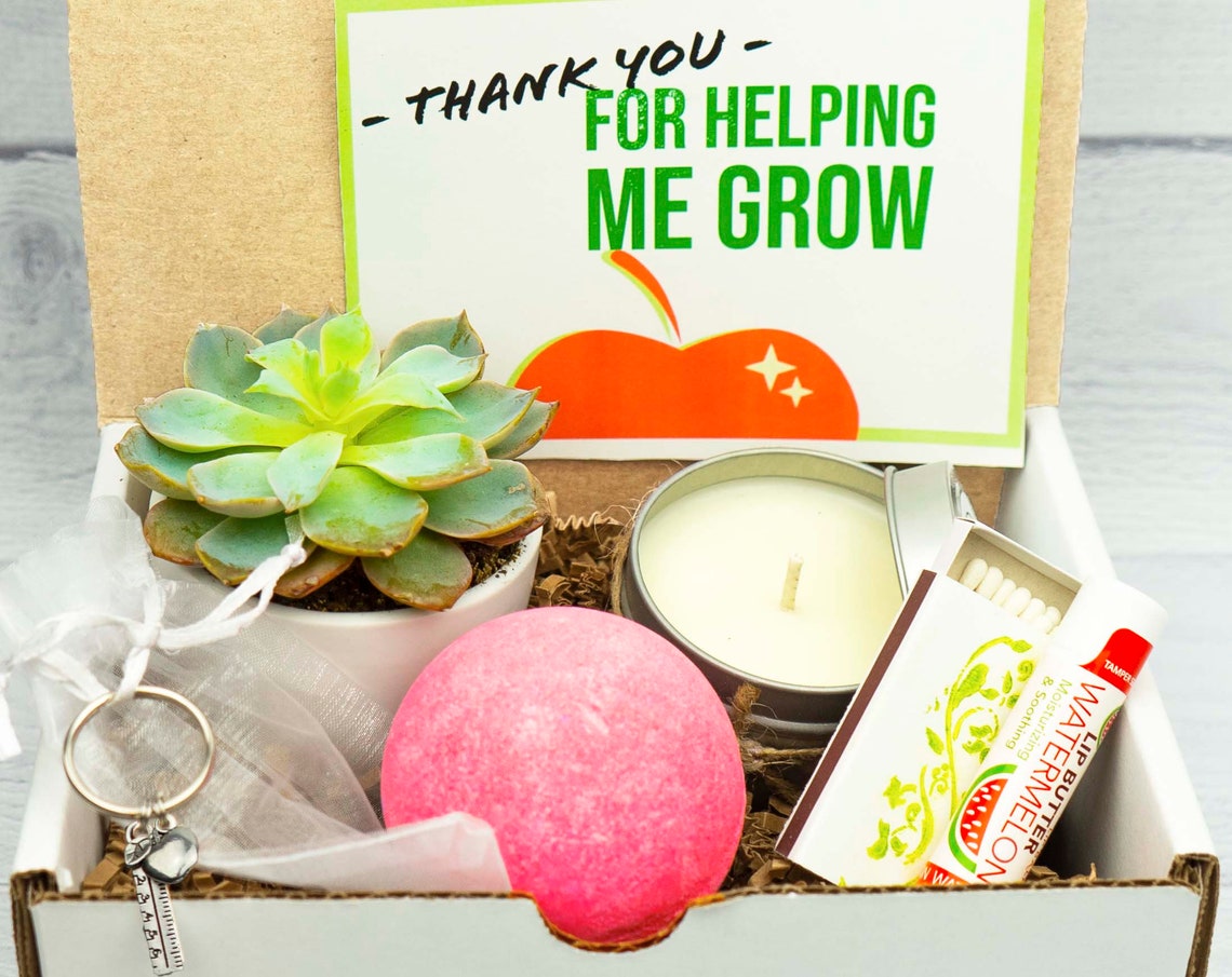 CARE PACKAGE. Gift Box. TEACHER Gift. Live Succulent. | Etsy