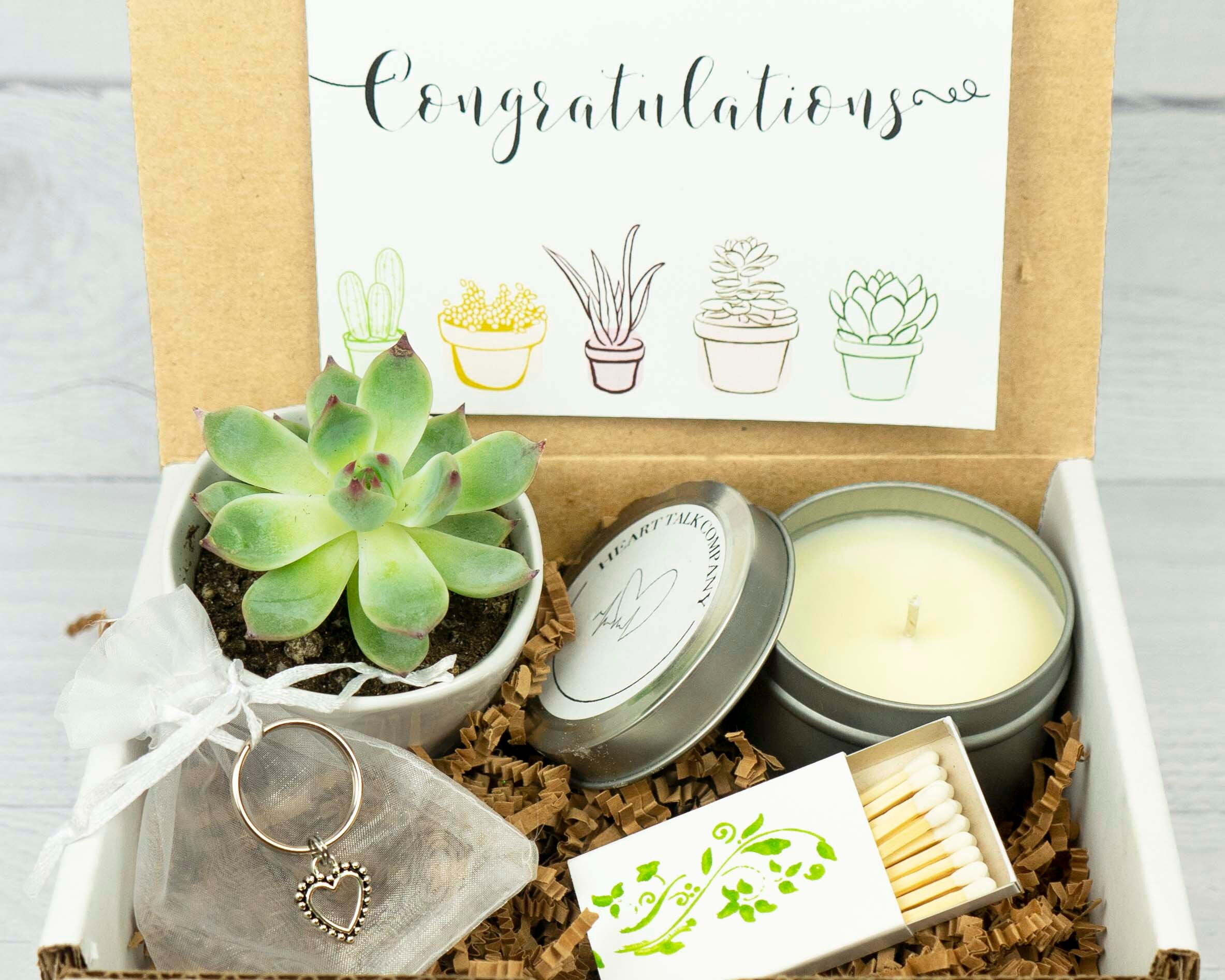 CONGRATULATIONS GIFT BOX. Gift Box. Live Succulent. Succulent | Etsy
