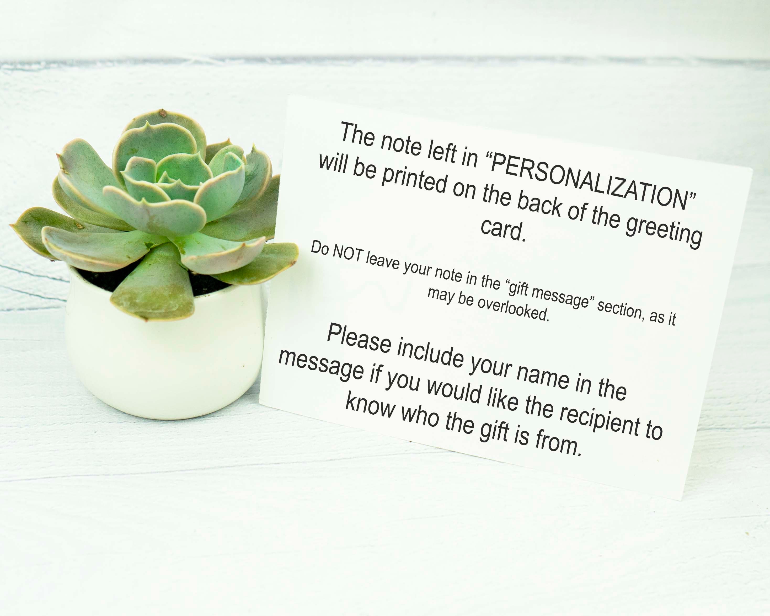 HAPPY MOTHERS DAY. Live Succulent. Succulent Gift Box. - Etsy