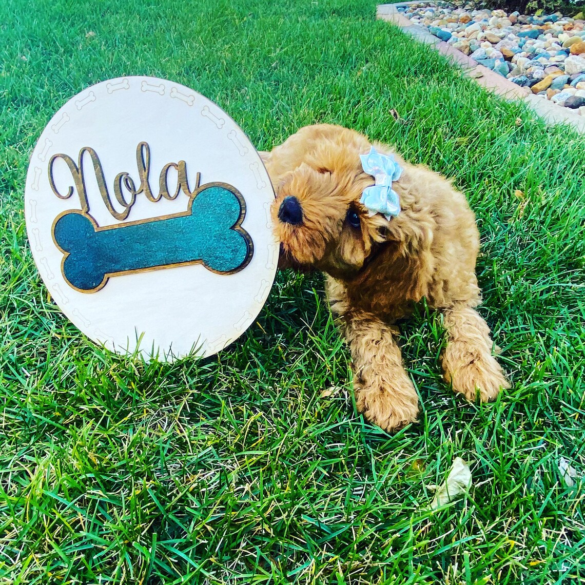 Dog Milestone Sign Laser Cut File, Laser Cut Dog Sign, Dog Name Sign ...