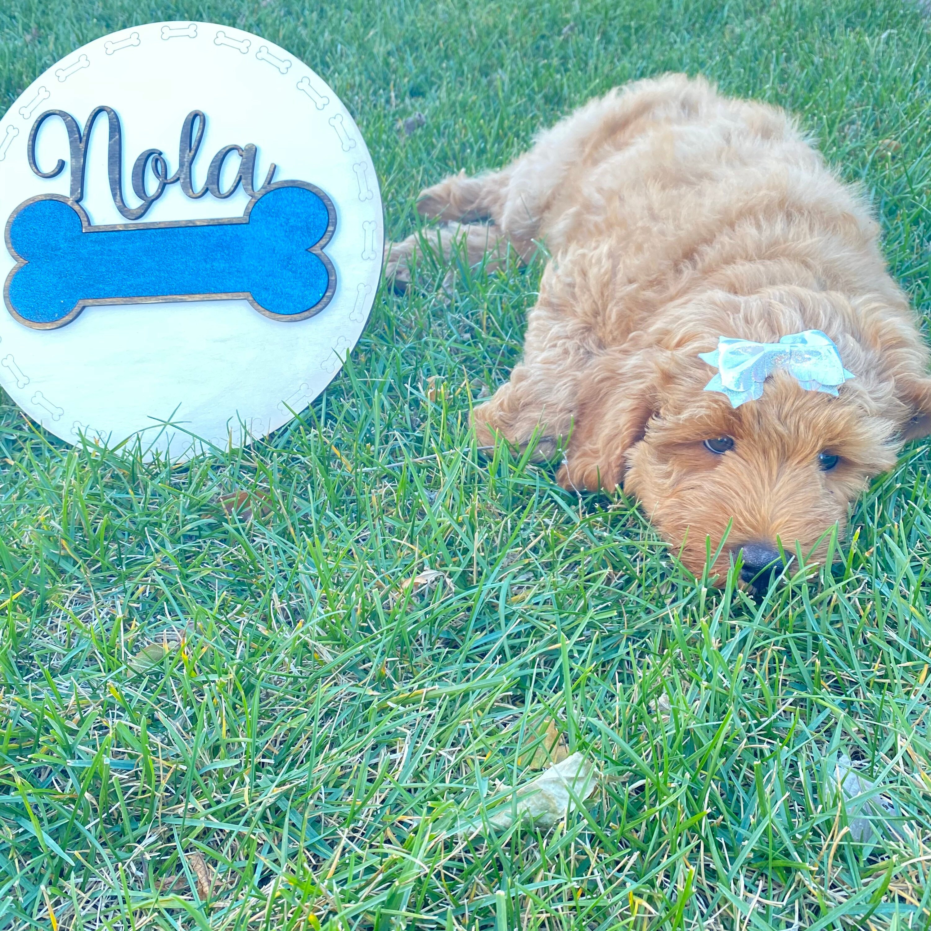 Dog Milestone Sign Laser Cut File, Laser Cut Dog Sign, Dog Name Sign ...