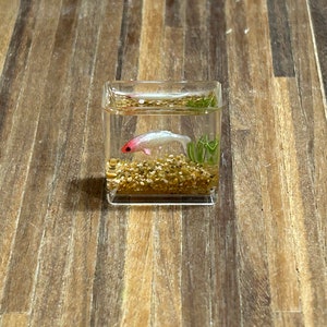 Beautiful and Decorative Glass Aquariums Containing Fish and Decor ...