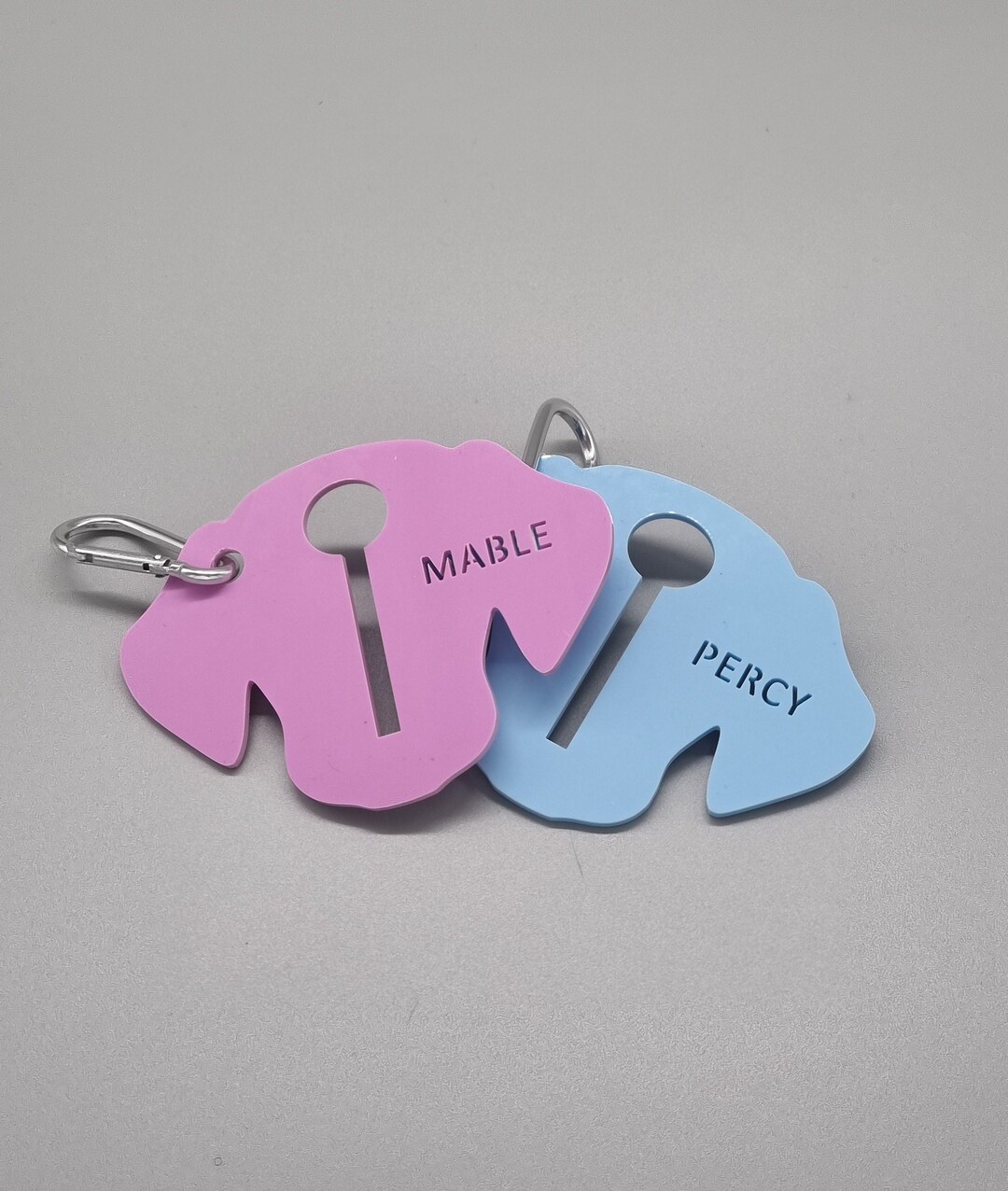 Personalised Dog Poo Bag Holder: Blue or Pink Walking Accessory - Etsy