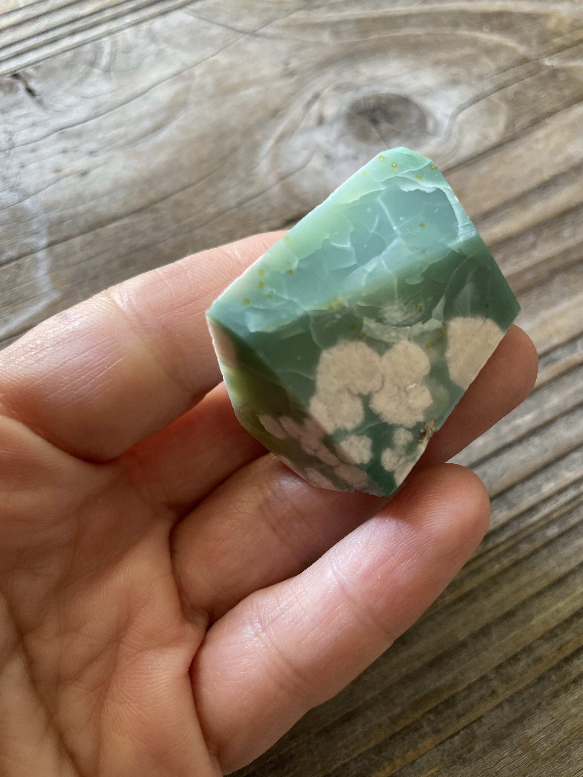 Rare Green Sakura Flower Agate Polished Free Form | Etsy