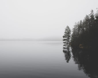 Morning Fog on the Marsh Original Nature Art Photo Print - Etsy