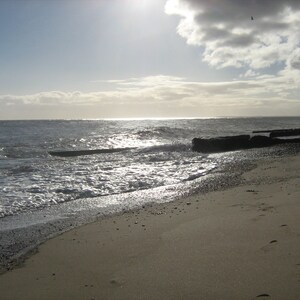 A Tideline Relic-wall Art interesting Textures good Luck - Etsy