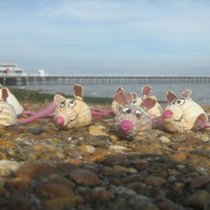 Seashell Mouse Family -felixstowe Beach Origins-positive Vibes! - Etsy