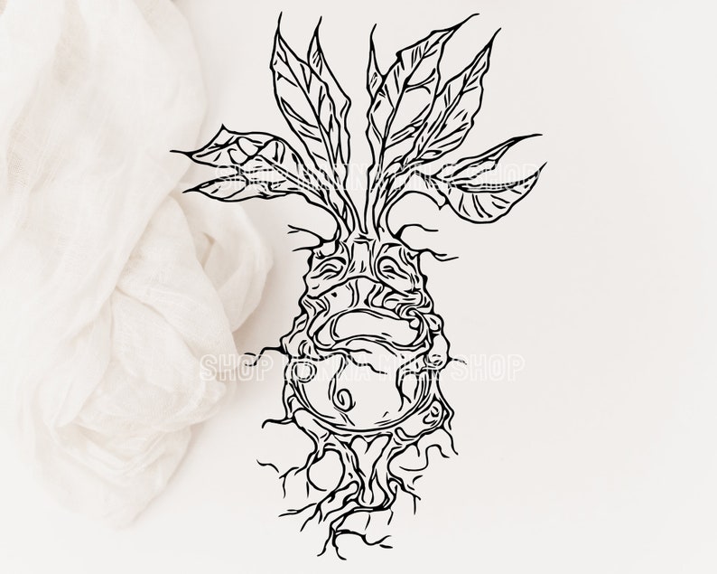 Mandrake Root Svg png dxf Mandrake Plant mandragora Harry | Etsy