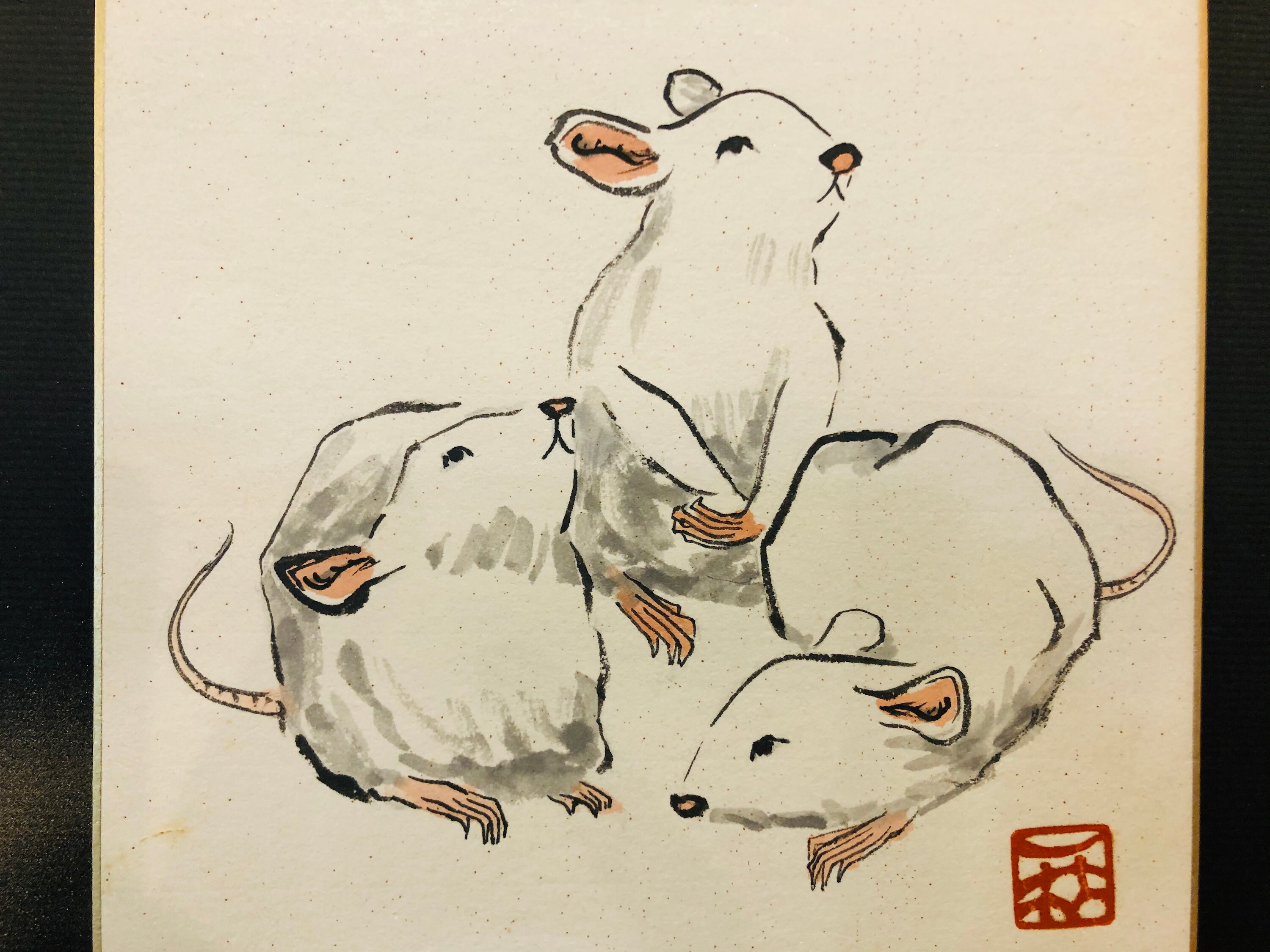 OR018 Japanese Vintage Art: White Rats ITTO OKADA Collection - Etsy UK