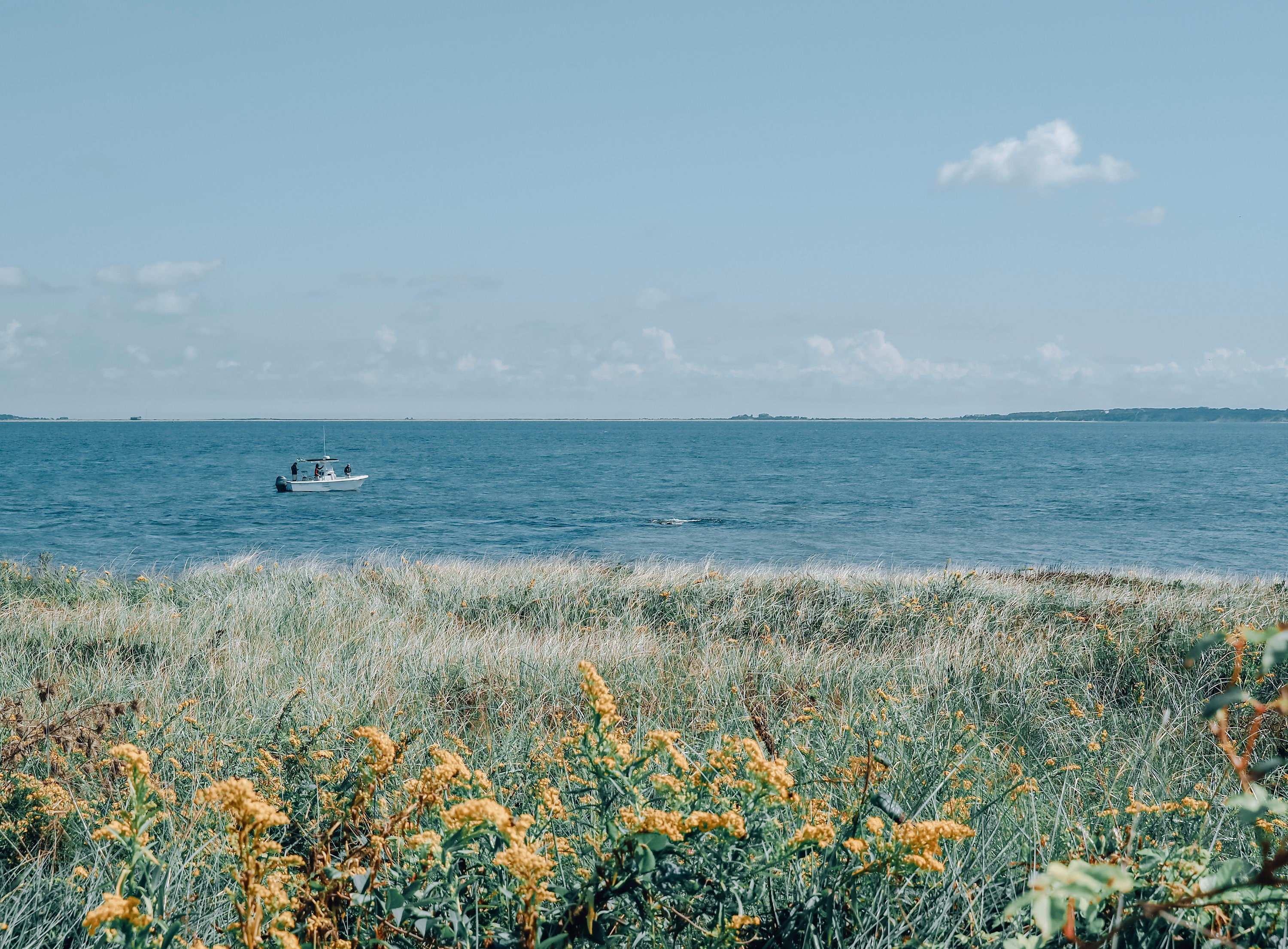 Martha's Vineyard Boat & Bluff Photograph Print Only or Framed - Etsy