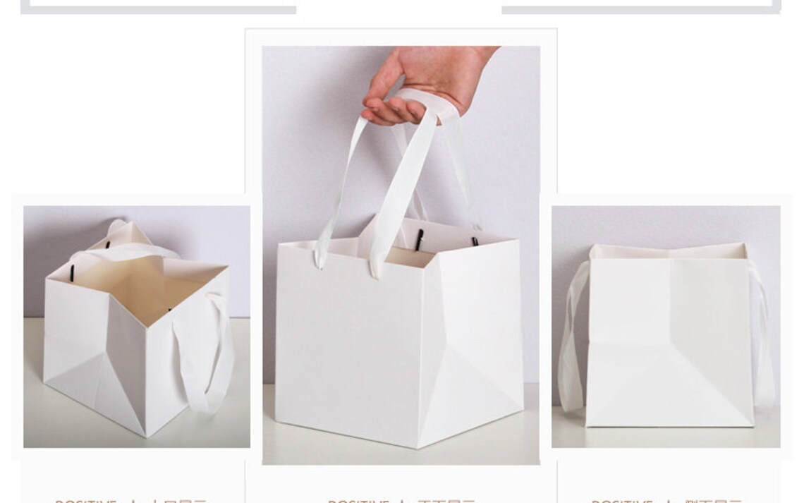 Square Paper Bag With Ribbon Handle 10 Pcs. Paper Shopping Bags, Bulk ...