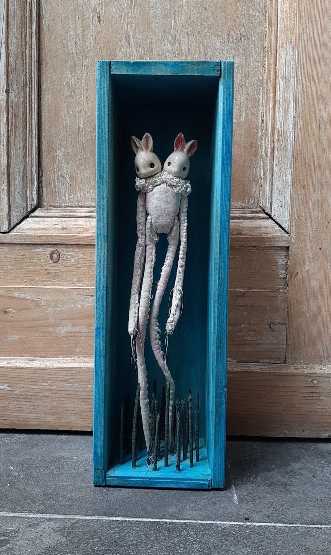 Two Headed Rabbit Hare Bunny, Wanderer, Diorama, Shadow Box, Curiosa ...