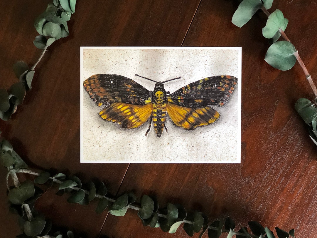 Death Head Moth, Death Moth Art, Moth Art Print, Handmade Art ...