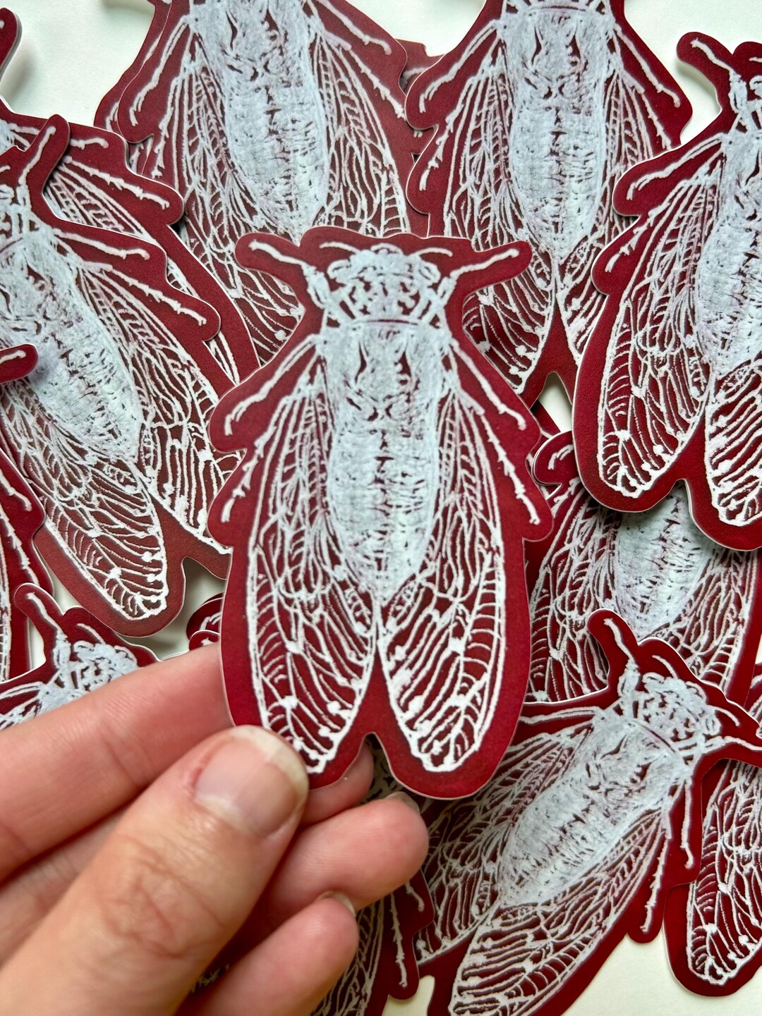 Cicada Sticker, Bug Sticker, Insect Art, Sticker Gift for Nature Lover ...