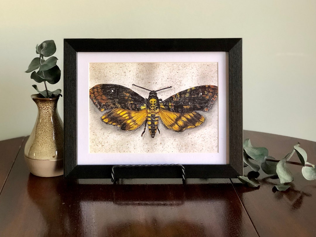 Death Head Moth Death Moth Art Moth Art Print Handmade Art - Etsy