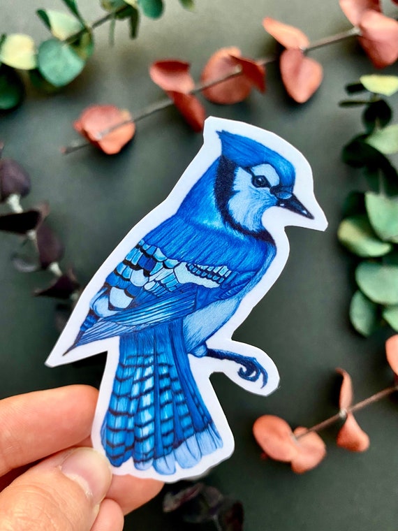 Blue Jay Sticker Art Vinyl Waterproof Sticker Bird | Etsy