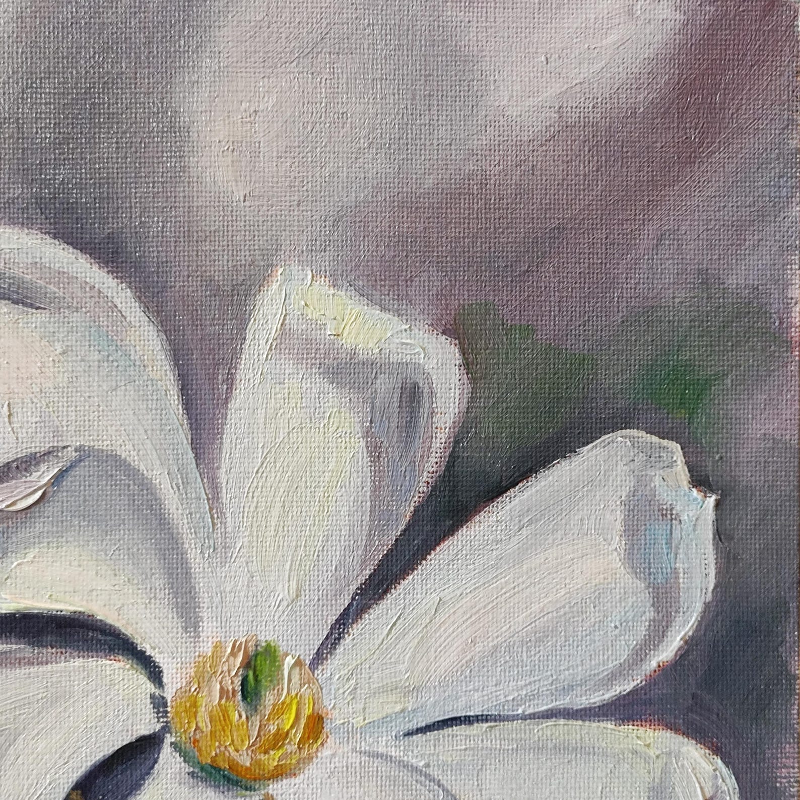 Magnolia Oil Painting: Floral Spring Landscape, 10x10 Canvas Art - Etsy