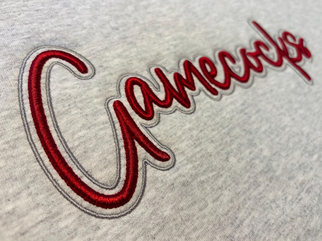Custom 3D Puff Embroidered Sweatshirt | School Mascot Spirit Wear - Etsy