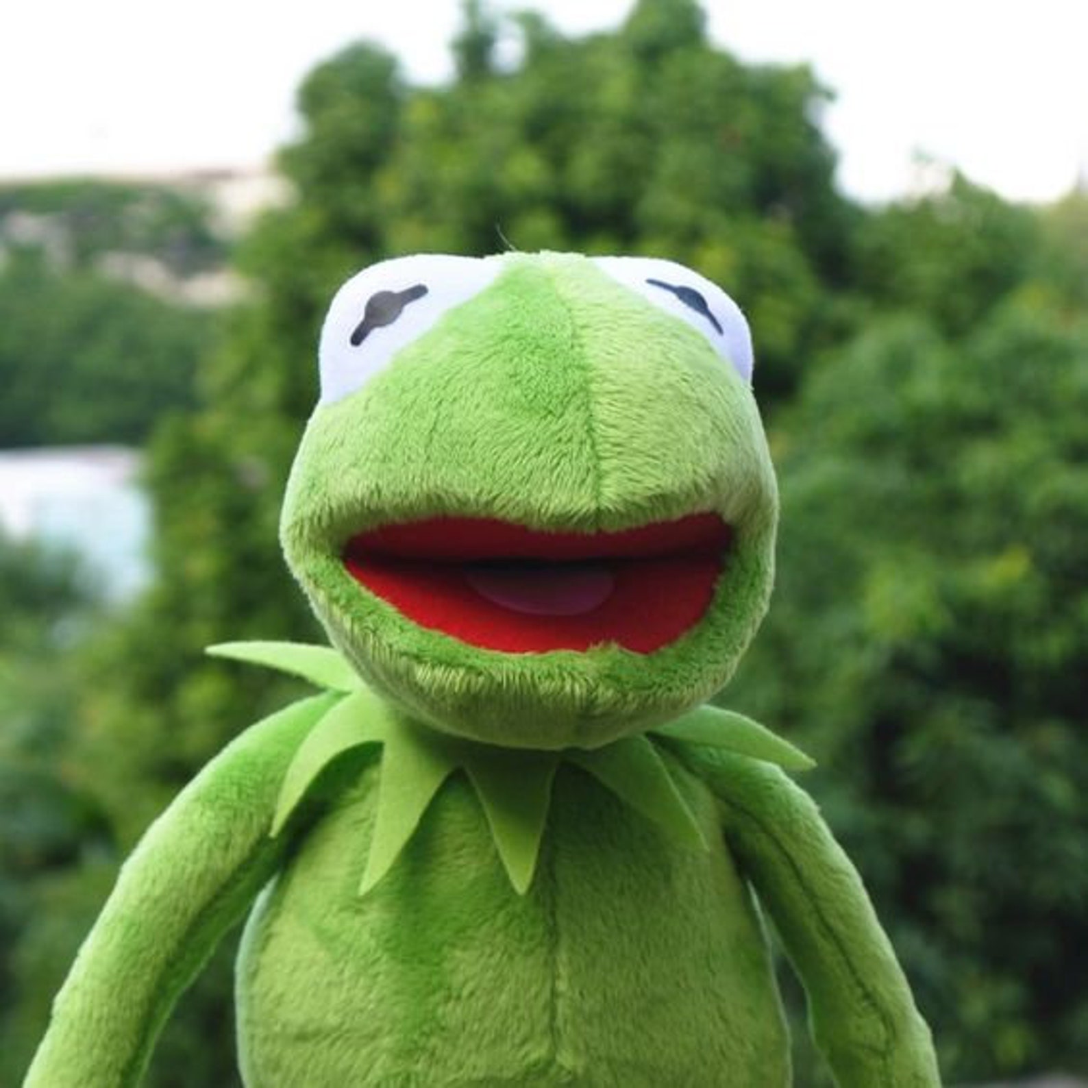 Plüsch Kermit Frosch Sesamstraße Frosch Puppe The Muppet Show | Etsy