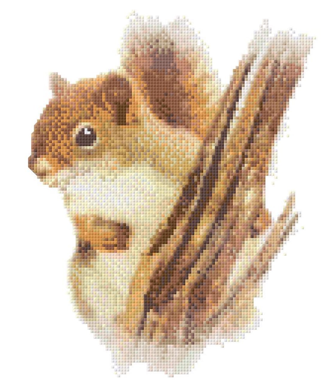 Squirrel Cross Stitch Pattern Instant Digital Download - Etsy