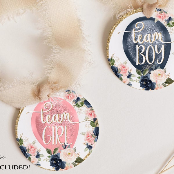 Team Girl Team Boy Stickers - Etsy