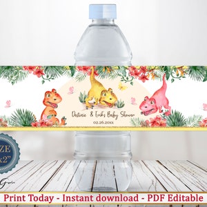 Editable Dinosaur Water Bottle Labels, Girl Baby Shower Party With Cute ...