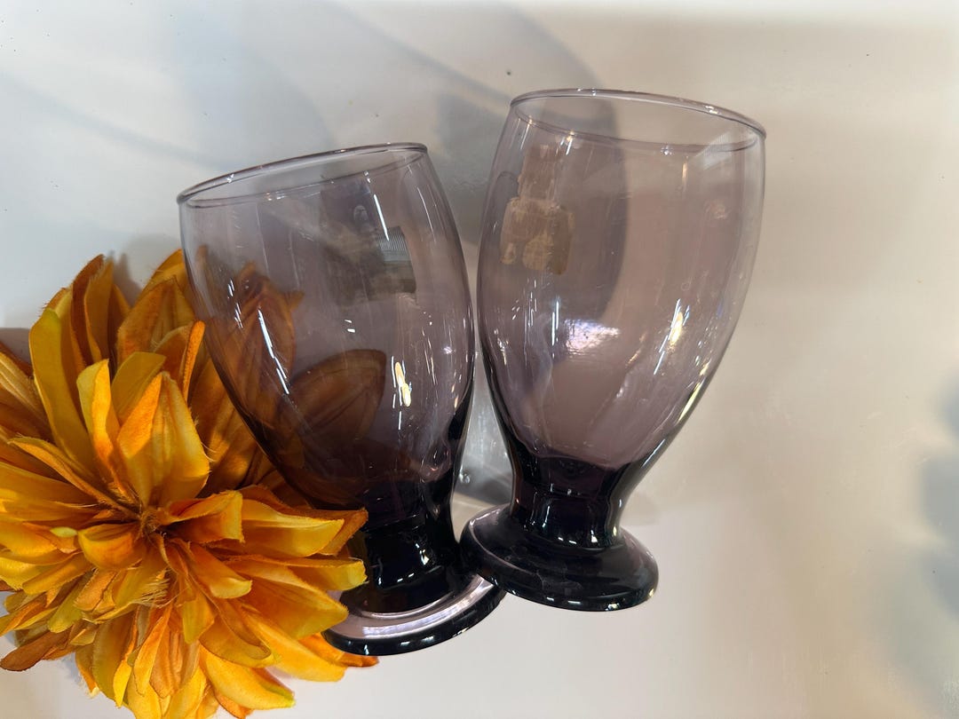 Circleware - Footed Water Goblet - Purple - Set of 2 - NWT - 5 1/4 ...
