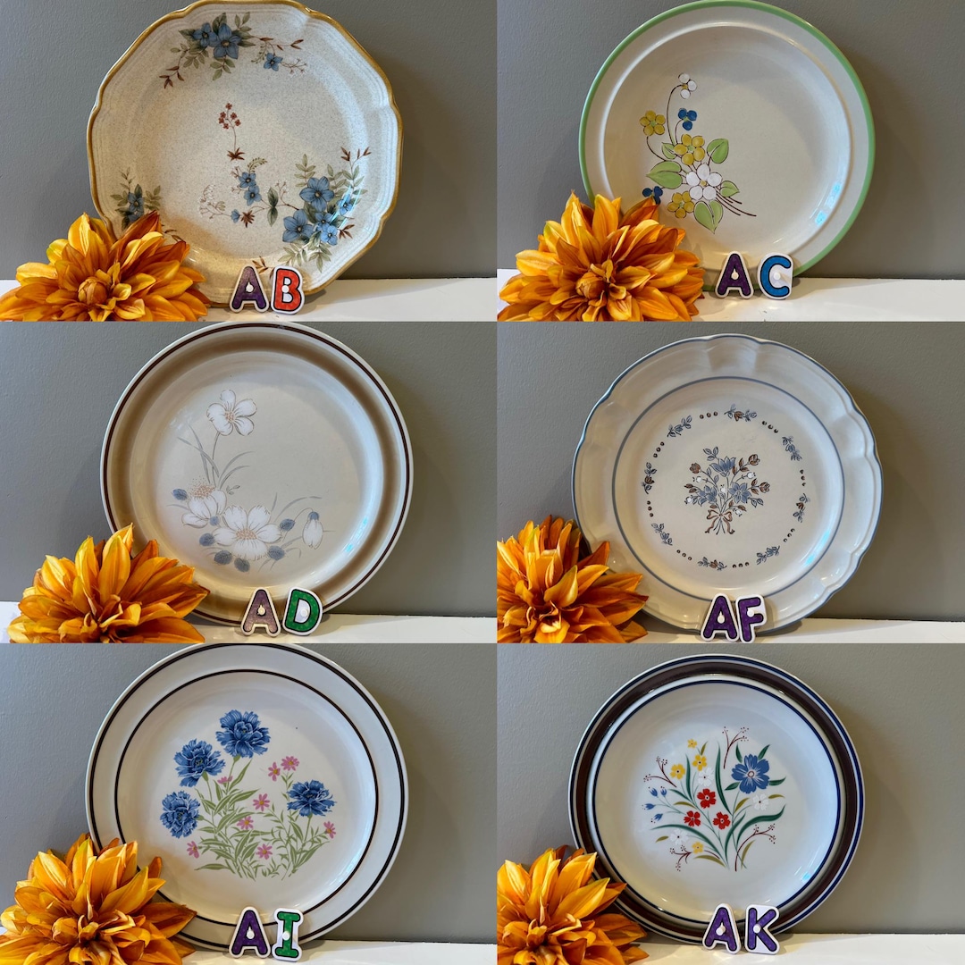 Pick Your Patterns - Choice of Vintage Stoneware Dinner Plates / Create ...