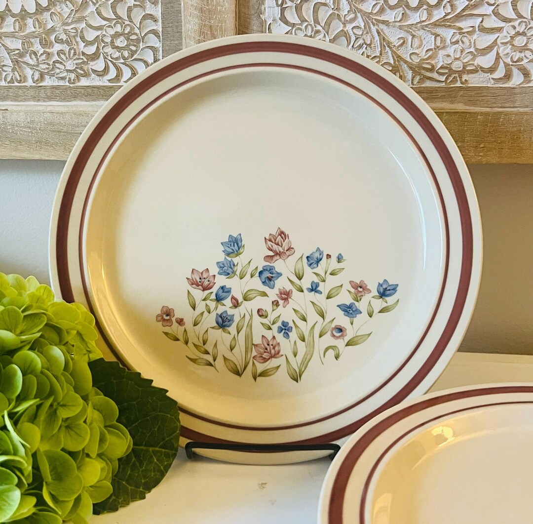 Newcor Stoneware - Good Earth Pattern - Dinner Plates - Set of 4 - Made ...