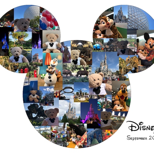 Disney Picture Frame Best Day Ever Collage Photo Frame Mickey | Etsy