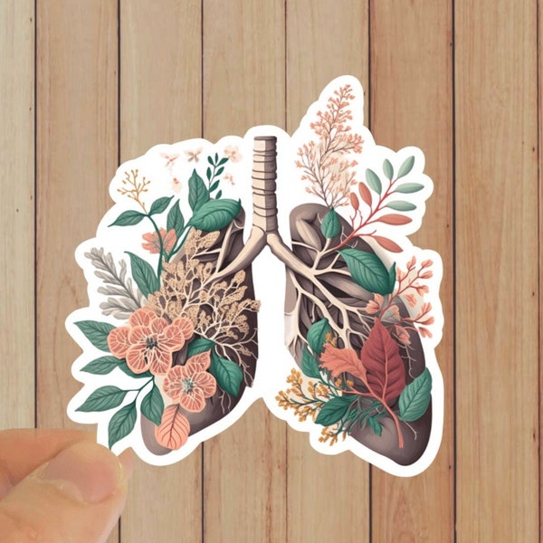 Anatomical Lungs - Etsy