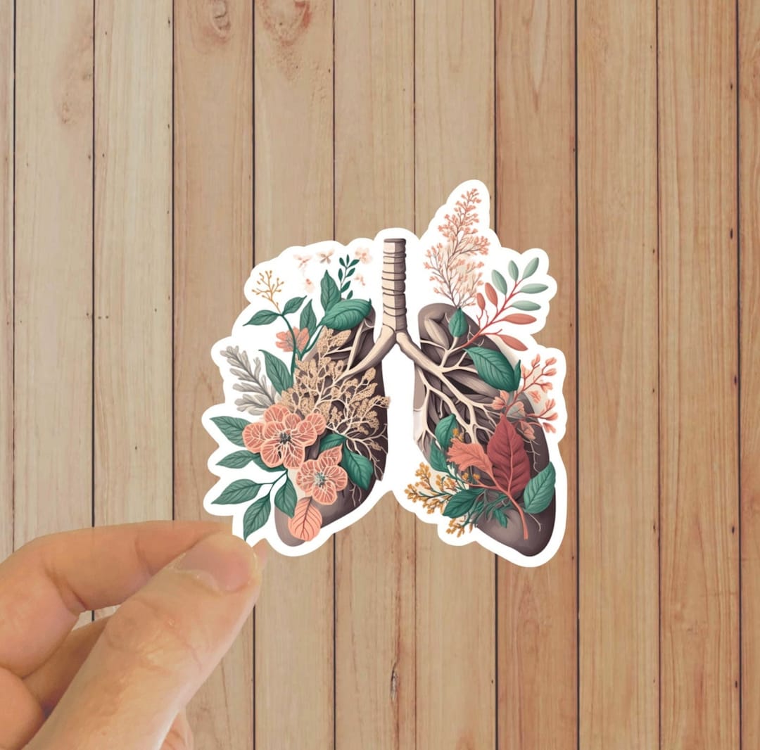 Pulmones anatómicos, pegatina de pulmones, pegatina de terapeuta ...