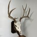 Euro Mount Plaque - Etsy