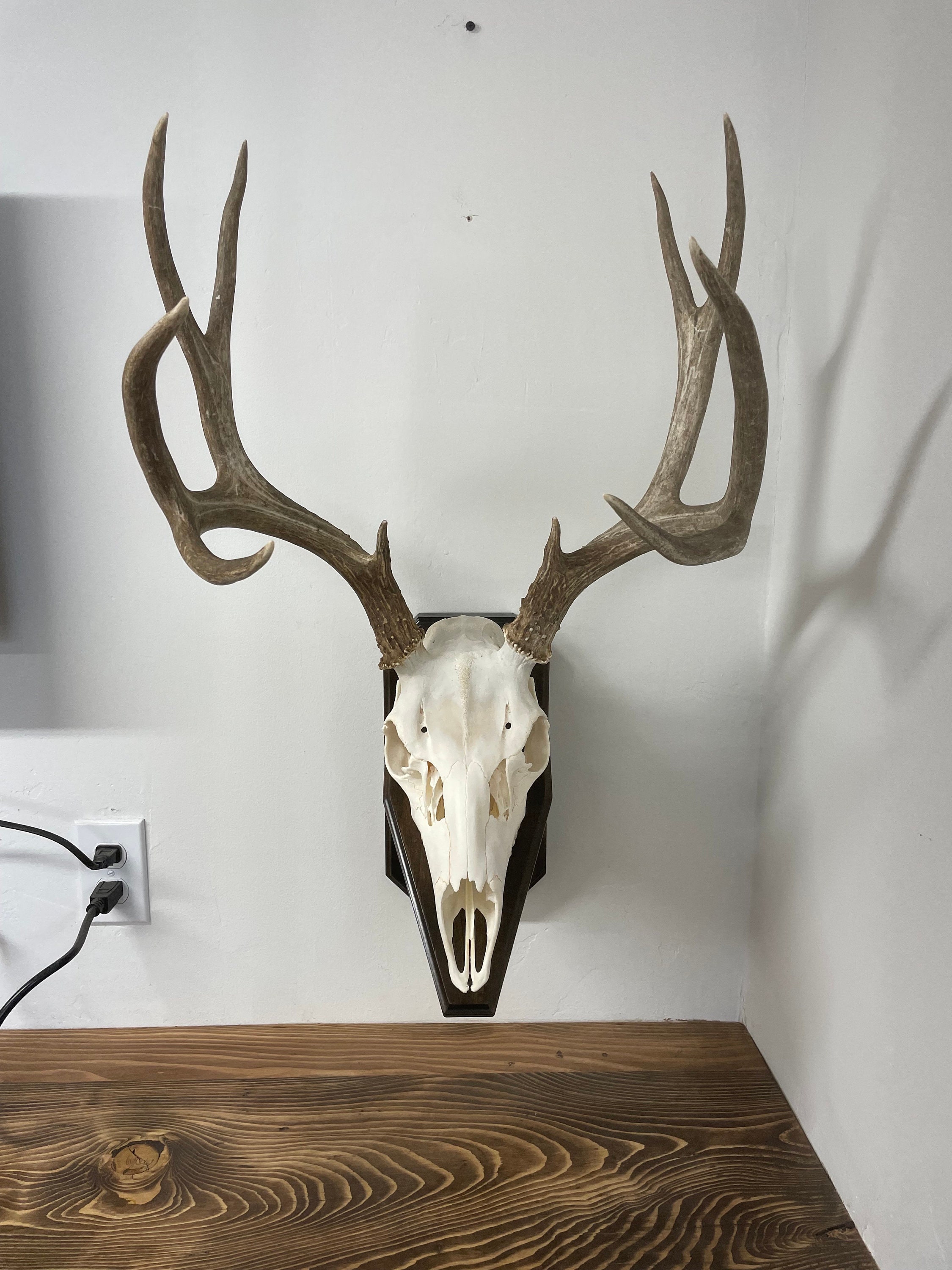 Euro Mount Plaque - Etsy