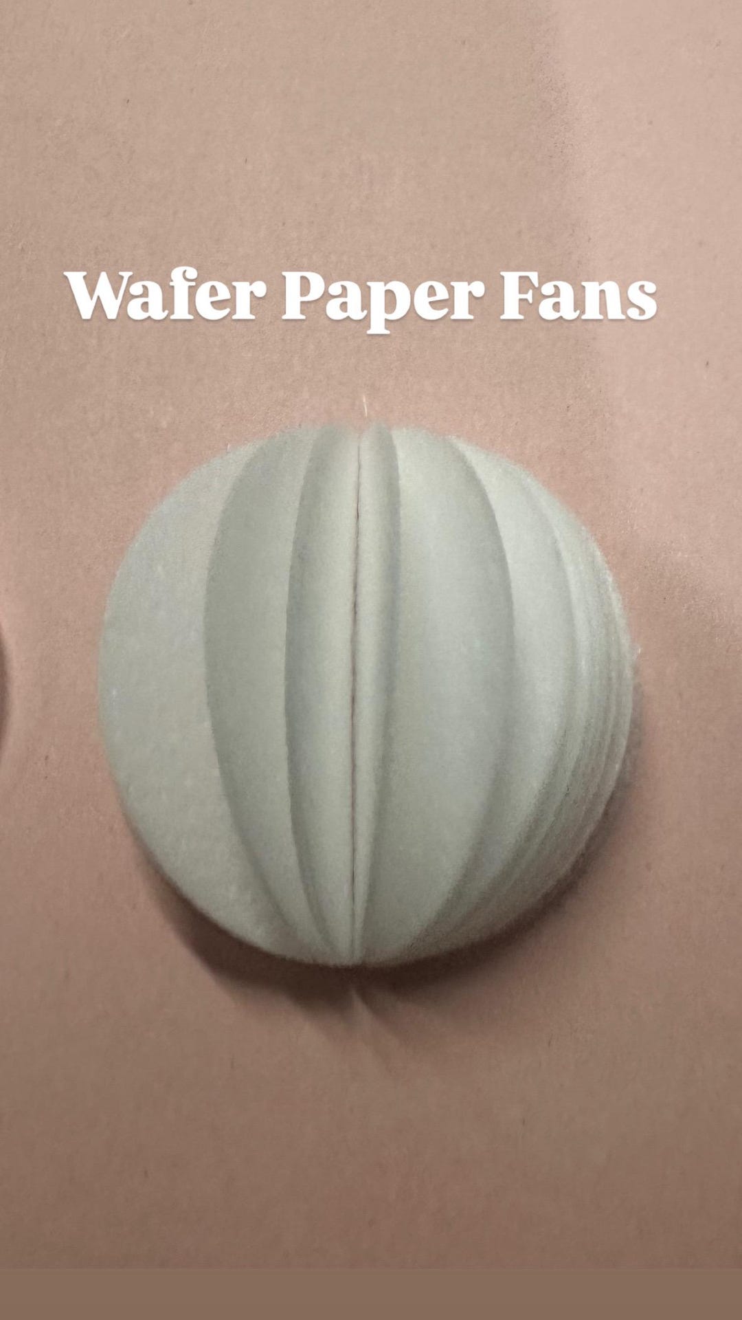 Wafer Paper Fans 10 Pcs - Etsy