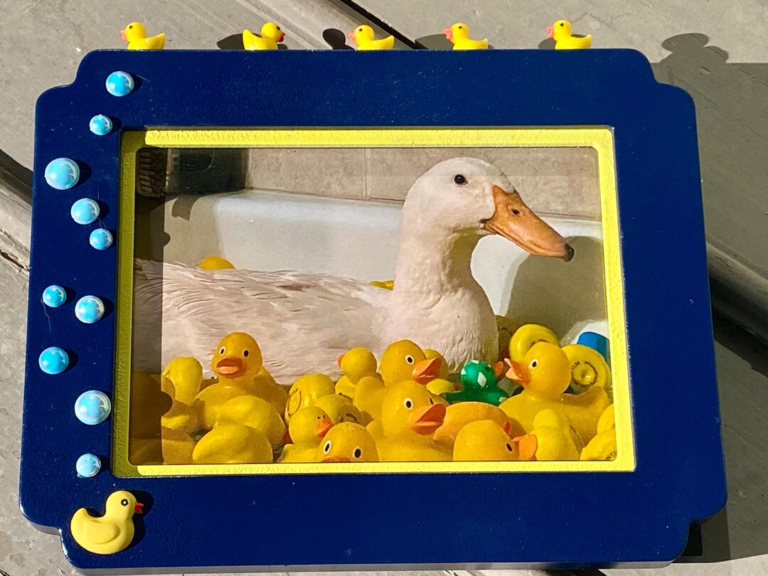 Duck Frame Featuring Phyllis the Duck - Etsy