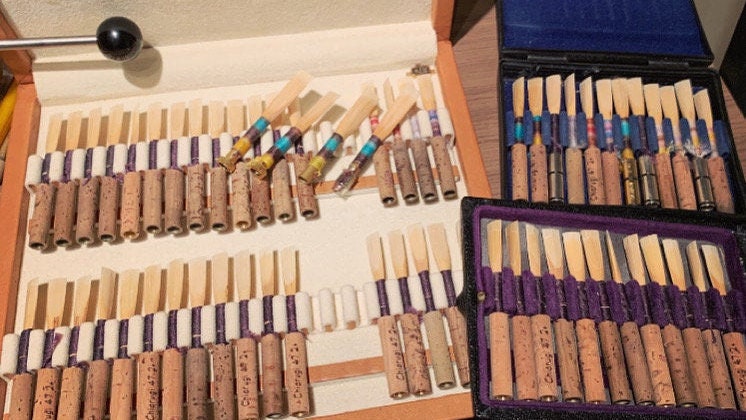 Handmade Oboe Reeds - Etsy