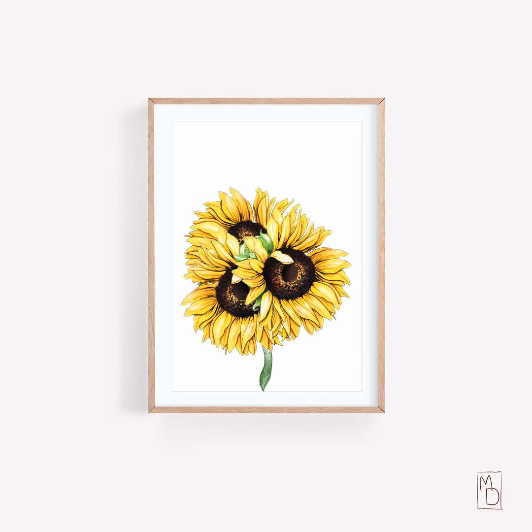 Sunflower Art Print, Sunflower Prints Wall Art, Sunflower Decor for ...