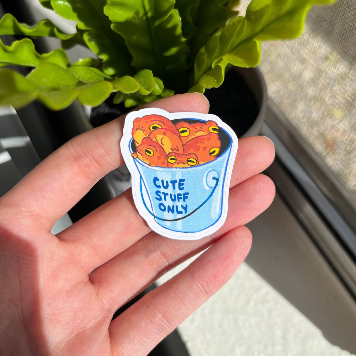 Desert Rain Frog Sticker, Cute Waterproof Vinyl Diecut - Etsy