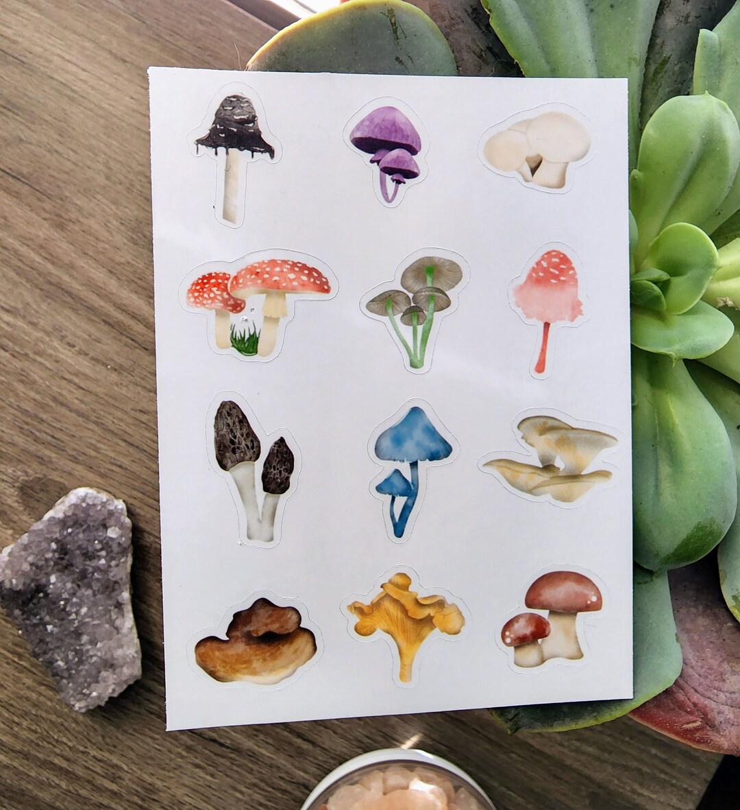 Fungi Freak Mushroom Sticker Sheet - Etsy