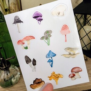 Fungi Freak Mushroom Sticker Sheet - Etsy