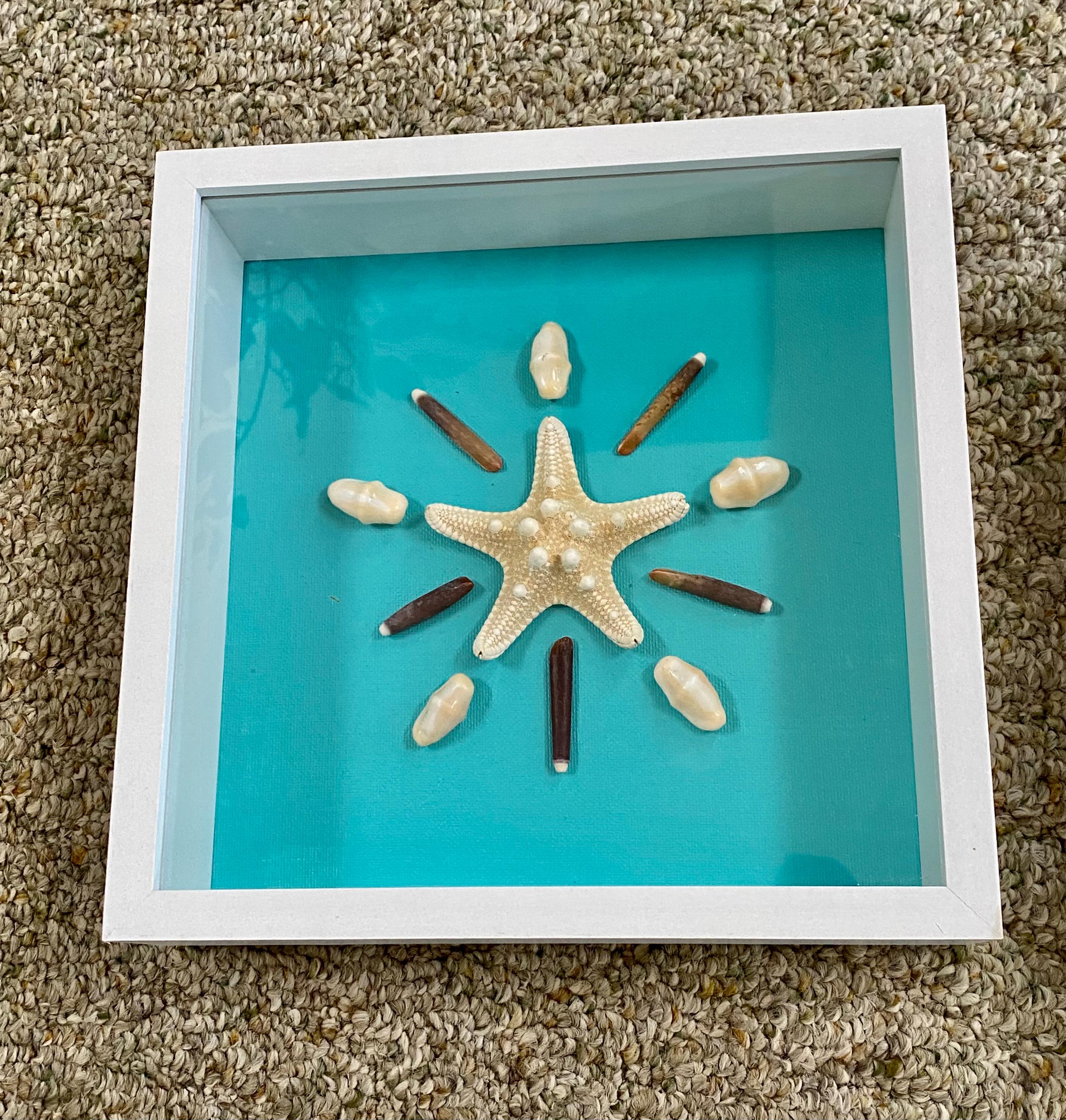 Seashell Shadowboxes - Etsy