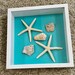 Seashell Shadowboxes - Etsy