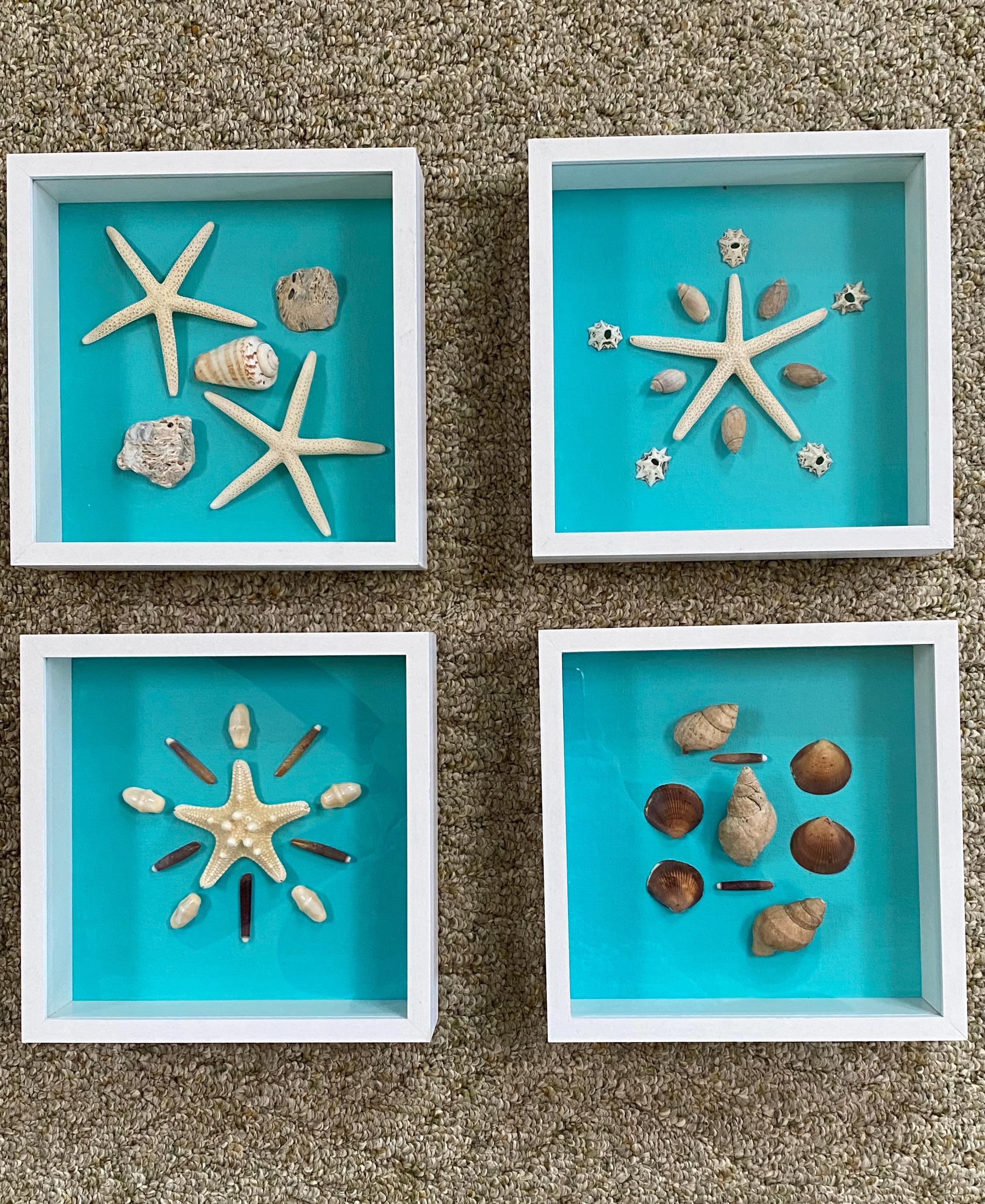 Seashell Shadowboxes - Etsy