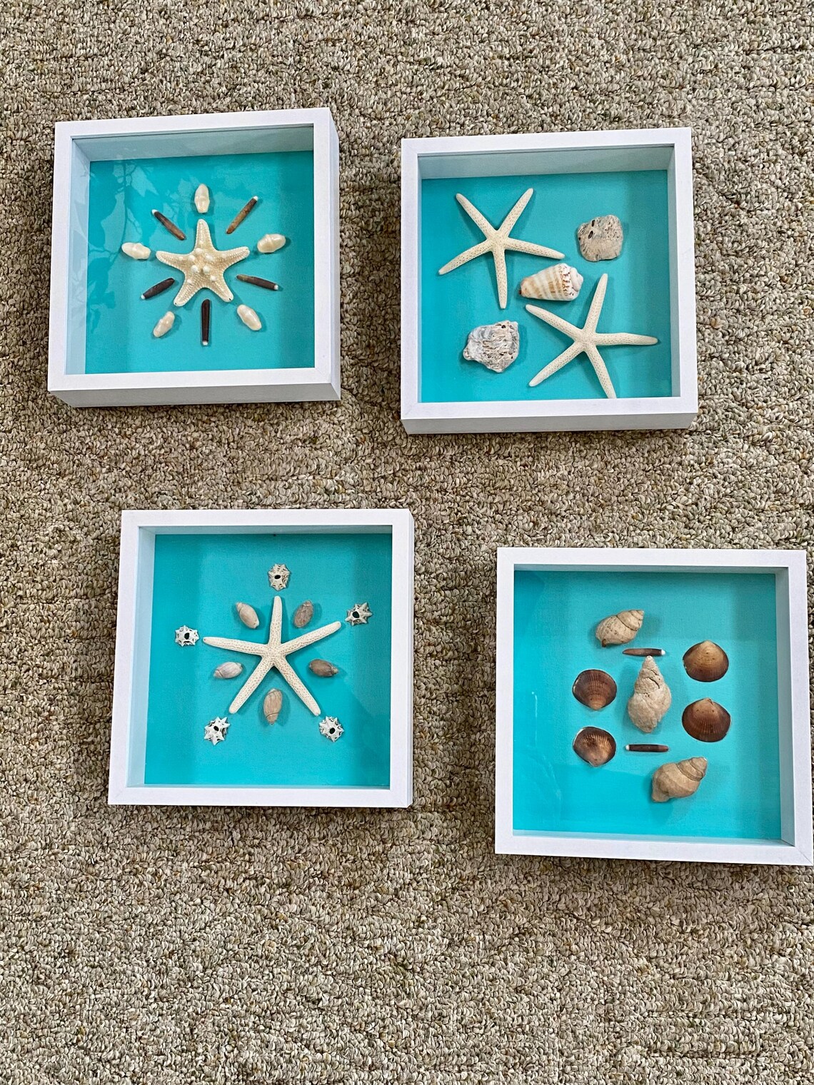 Seashell Shadowboxes - Etsy