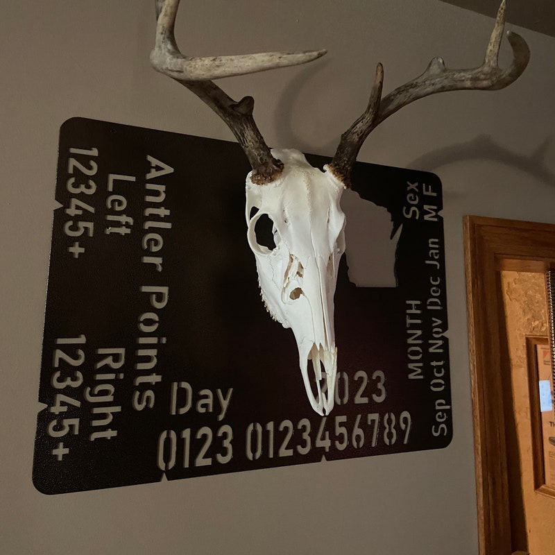 European Mount - Etsy