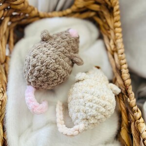 Pipsqueak the Mouse Crochet Pattern, No Sew Amigurumi Beginner Friendly ...