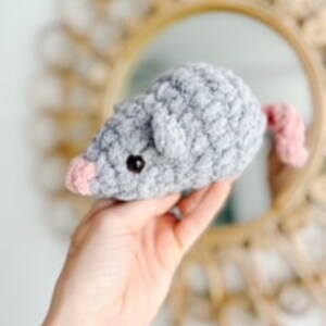 Pipsqueak the Mouse Crochet Pattern, No Sew Amigurumi Beginner Friendly ...