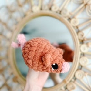 Pipsqueak the Mouse Crochet Pattern, No Sew Amigurumi Beginner Friendly ...