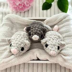 Pipsqueak the Mouse Crochet Pattern, No Sew Amigurumi Beginner Friendly ...